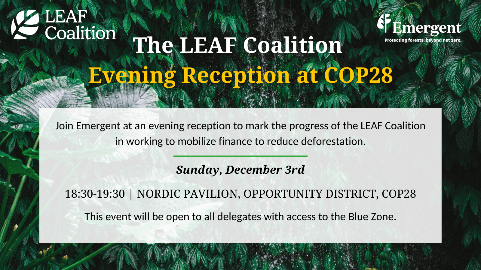 The LEAF Coalition at COP28